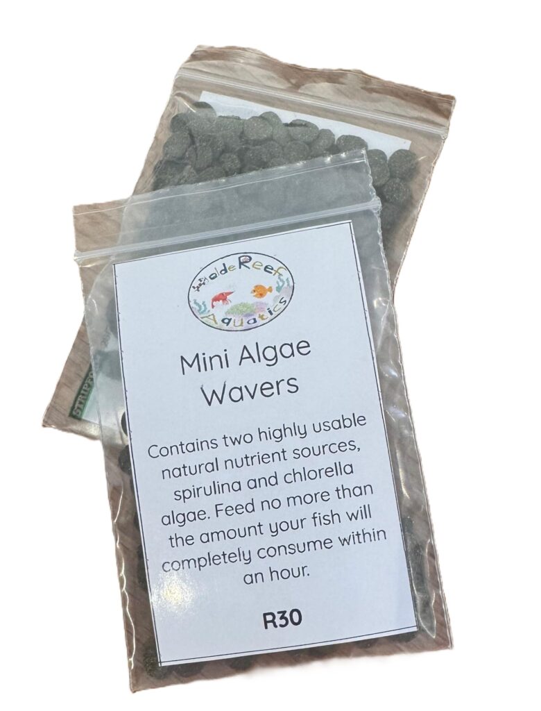 Mini Algae Wavers | HeldeReef Aquatics